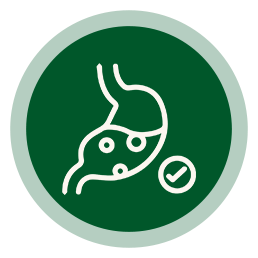 Bacterium Perú – Bacterium Plus